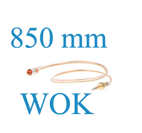 Delongi Fp Elba Oven and Cooktop Thermocouple DEGH90WF Wok Burner ...